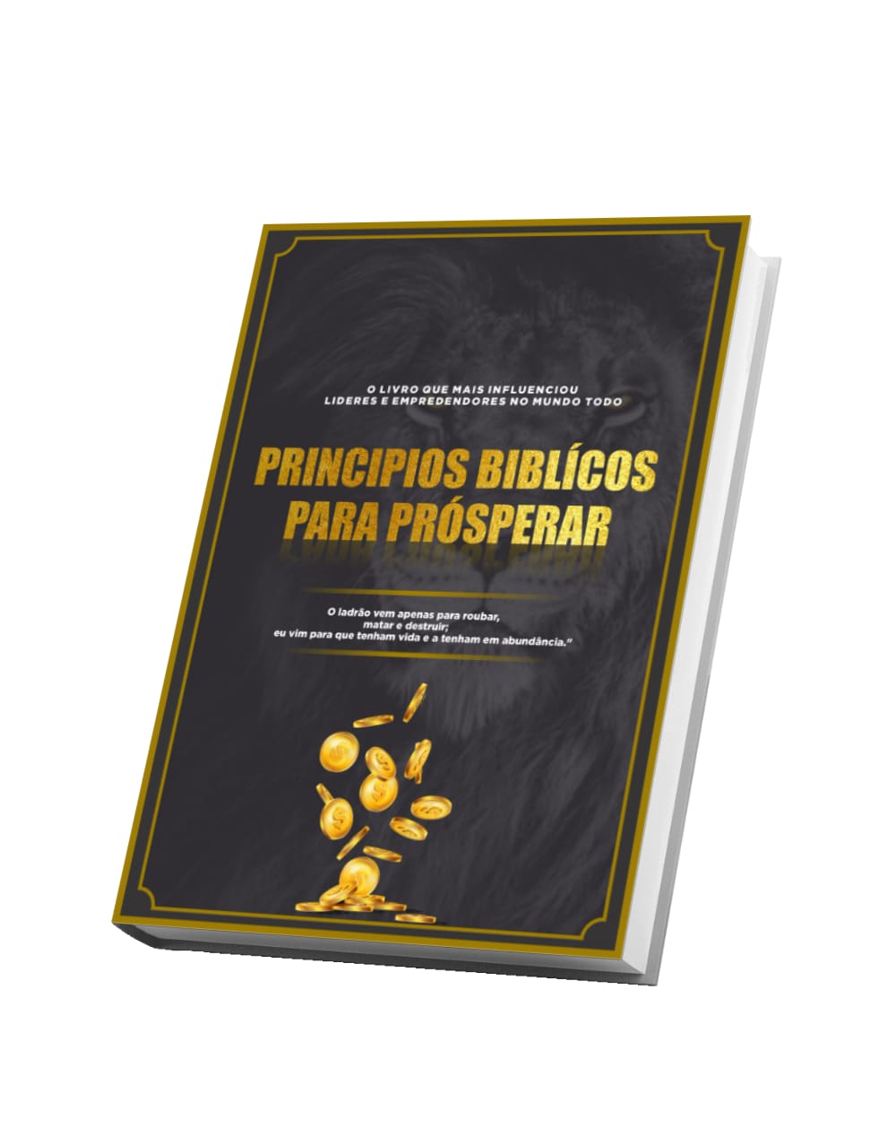 PRINCIPIOS BIBLICOS PARA PRÓSPERAR - walter silva | Hotmart