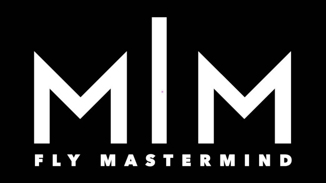 Fly Mastermind - Instituto 11 | Hotmart