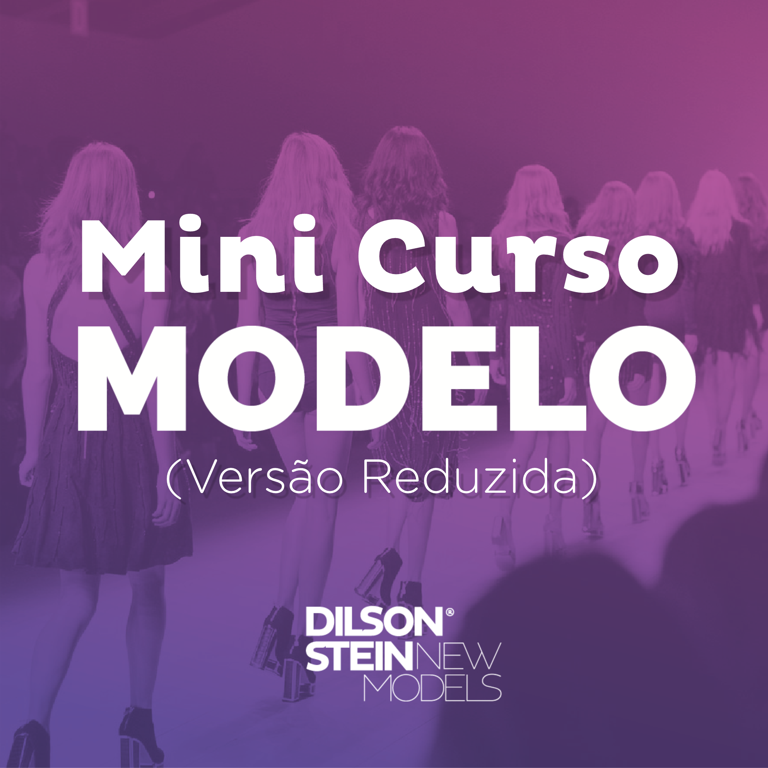Mini Curso de Modelo (Versão Reduzida) - Dilson Stein New Models