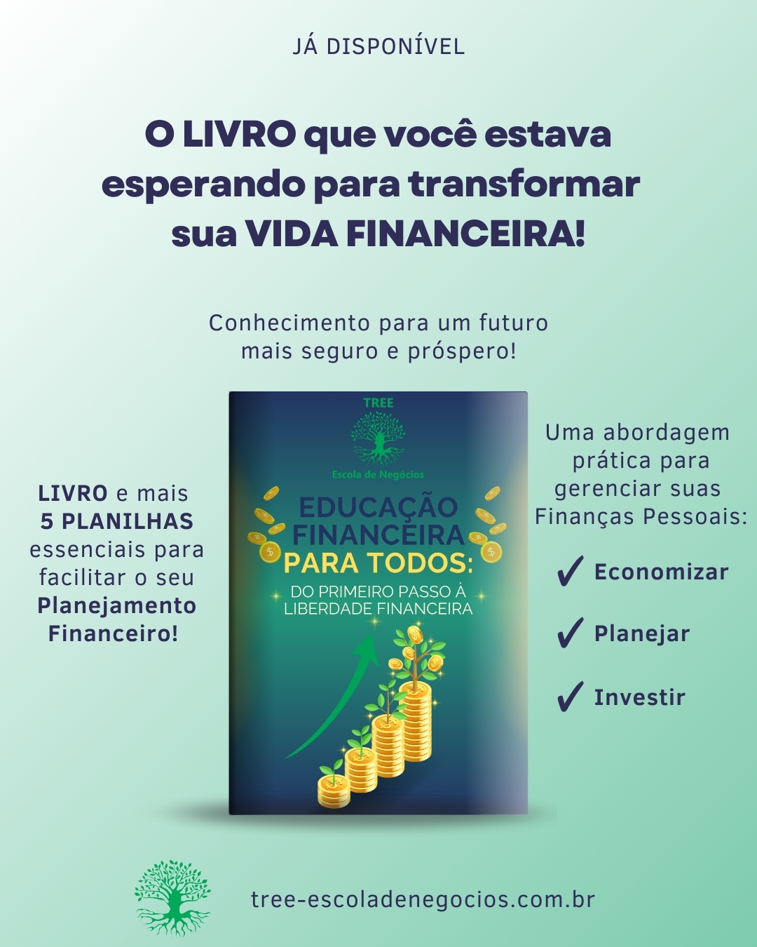 EDUCAÇÃO FINANCEIRA PARA TODOS - Do Primeiro Passo à Liberdade Financeira