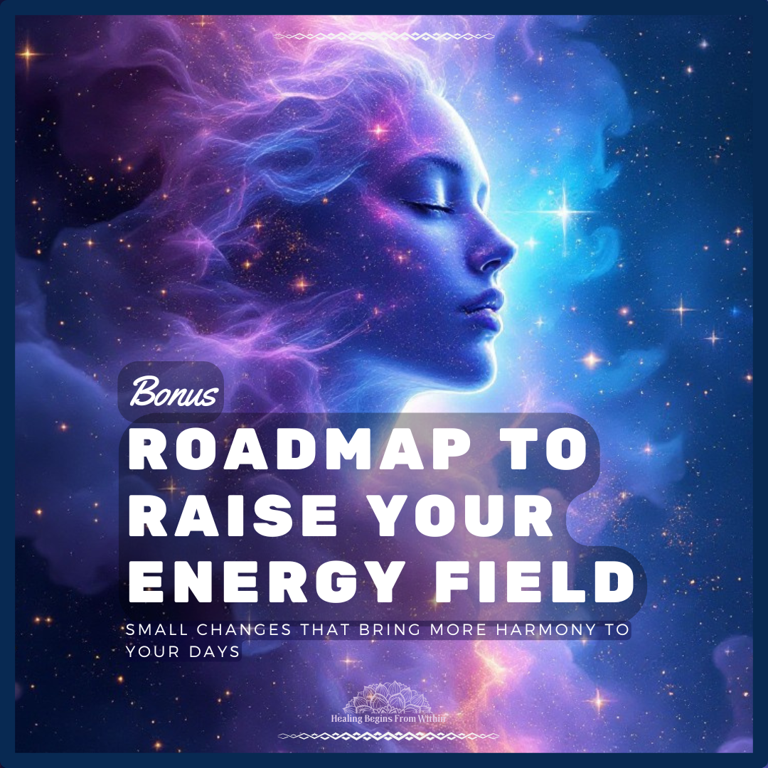 Roadmap To Raise Your Energy Field - Healing Begins From Within | H...