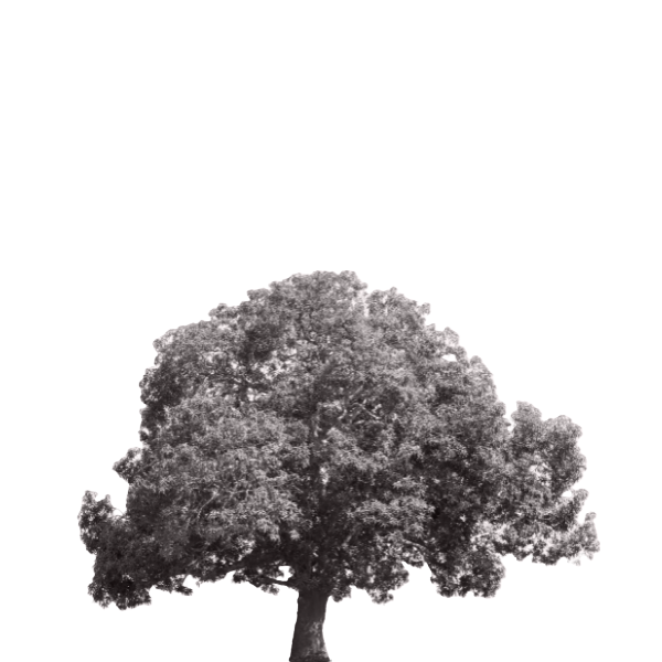 Labbing Care - ViniLab M | Hotmart