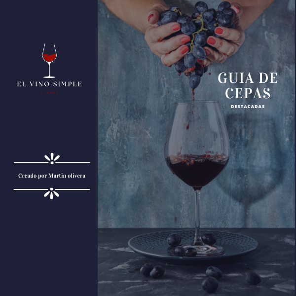 Guía de cepas destacadas - El Vino Simple | Hotmart