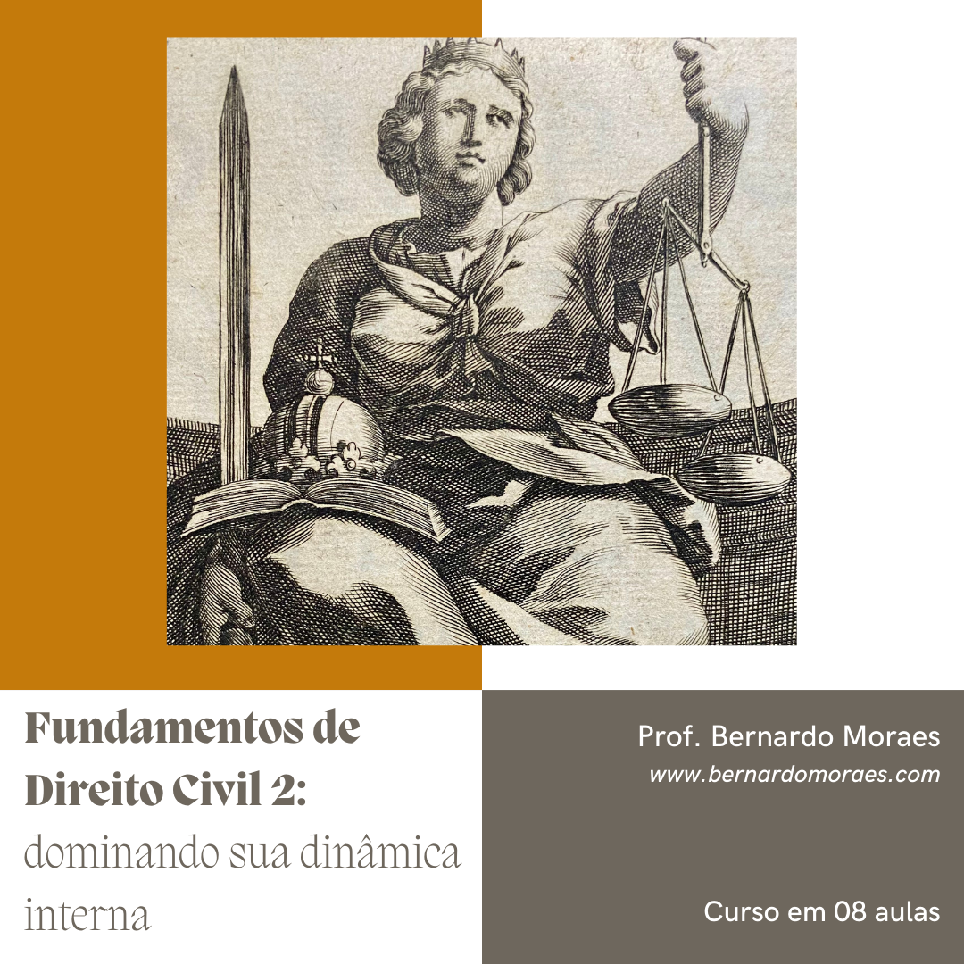 Fundamentos de Direito Civil 2: dominando sua dinâmica interna - Pr...