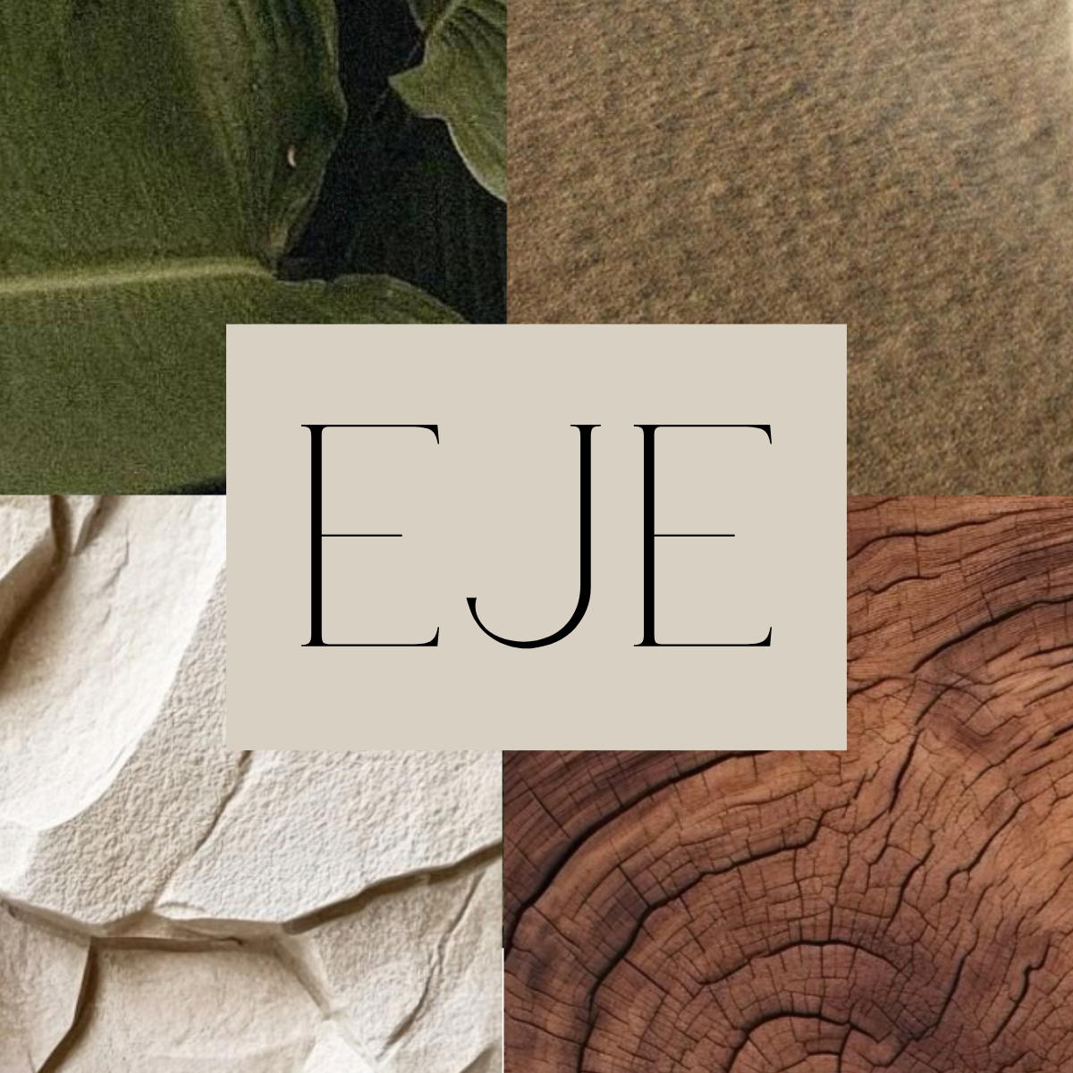 Eje - La base visual sobre la que se construye tu marca - Rocío Lag...