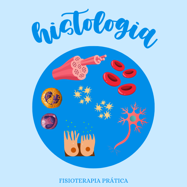 Kit Completão de Histologia - Helen Pinho de Moraes | Hotmart