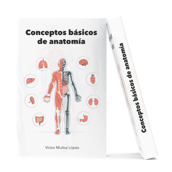 Conceptos básicos de anatomía - Víctor Muñoz López | Hotmart