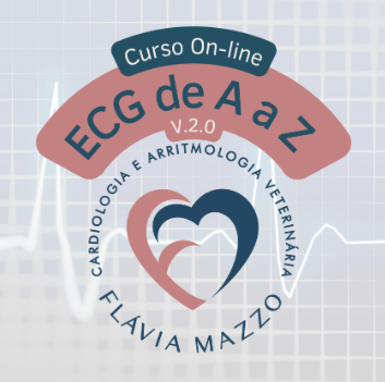 ECG de A a Z - Renovação - Flávia Regina Ruppert Mazzo | Hotmart