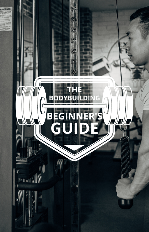 THE BODYBUILDING BEGINNER'S GUIDE