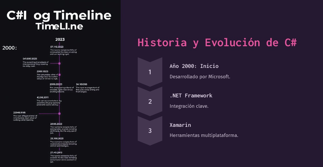 Domina la Programación en C - Guía Profesional - LUIS FUENTES LEYTO...