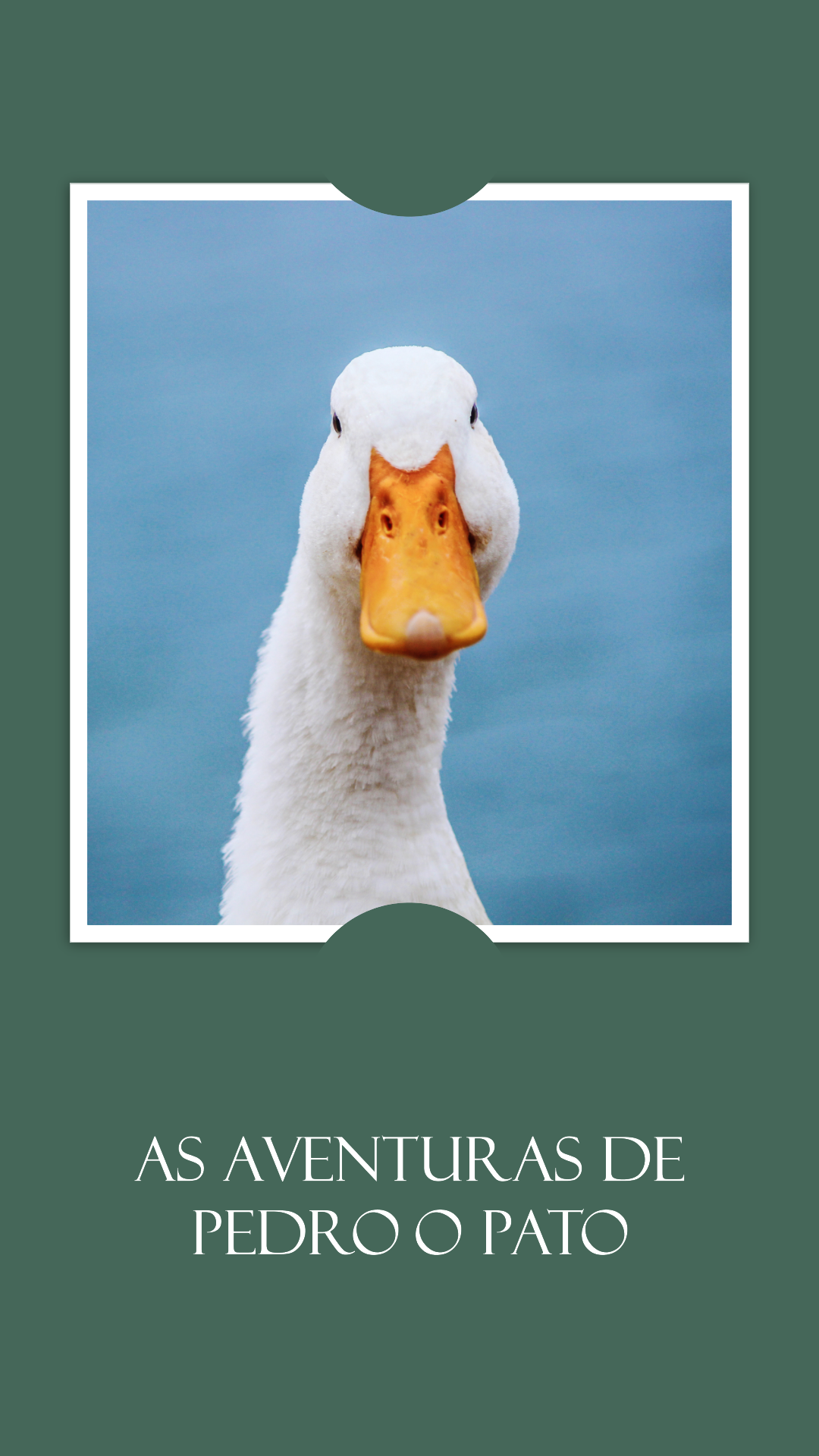 As Aventuras de Pedro O Pato - André Luiz de Almeida | Hotmart