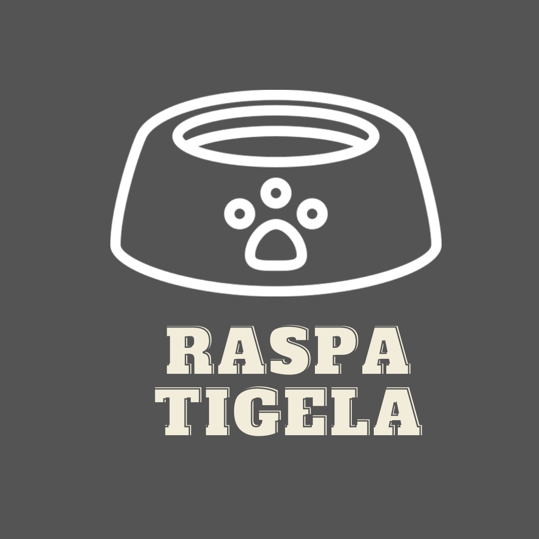 Raspa Tigela - Gabriela Dal Grande Tosin | Hotmart