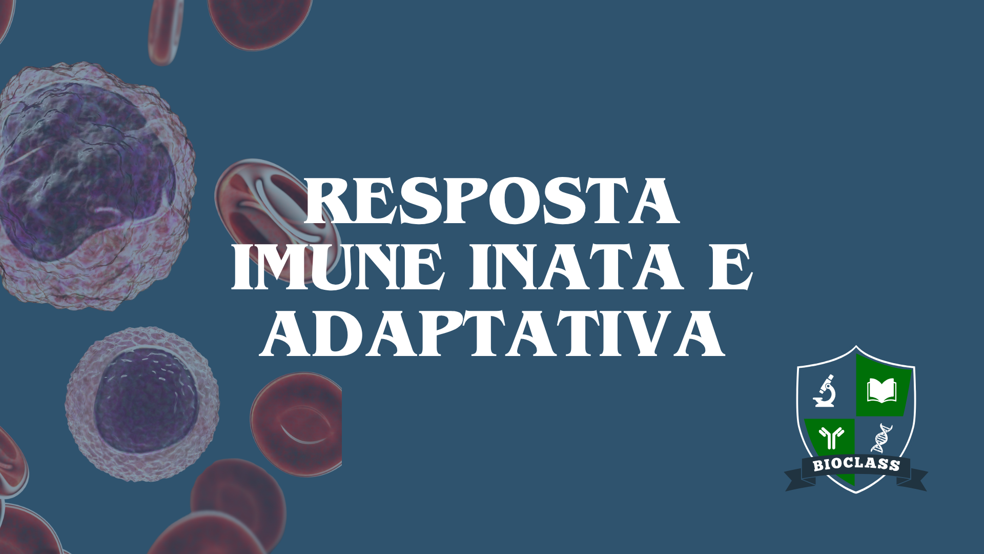 Curso de Imunologia: Resposta Imune Inata e Adaptativa