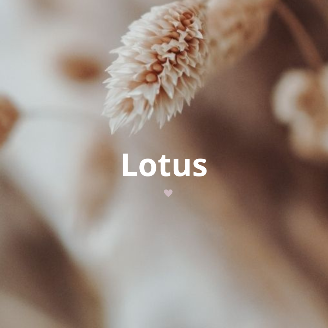 Lotus