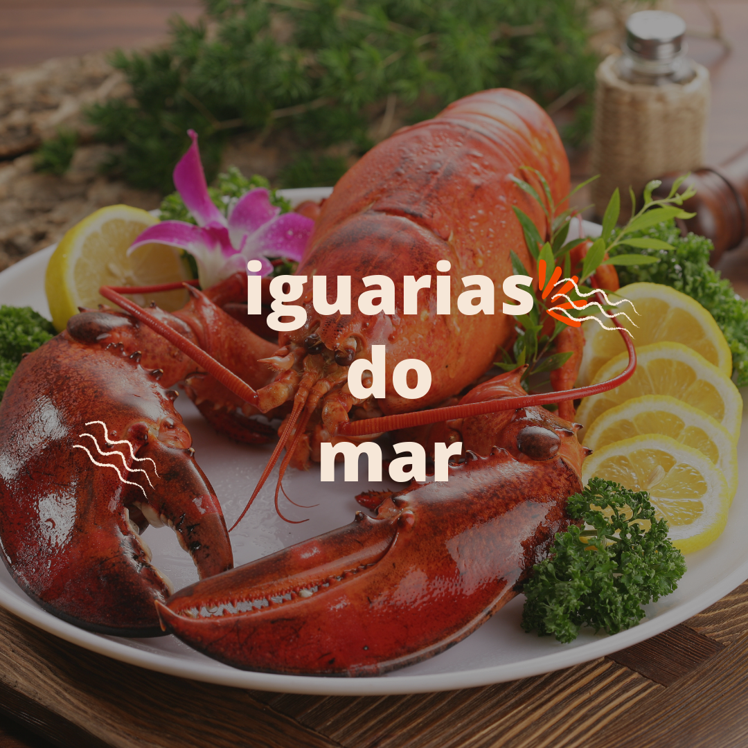 5 receitas pra fazer em família - Nathan Paulo Mazurek | Hotmart