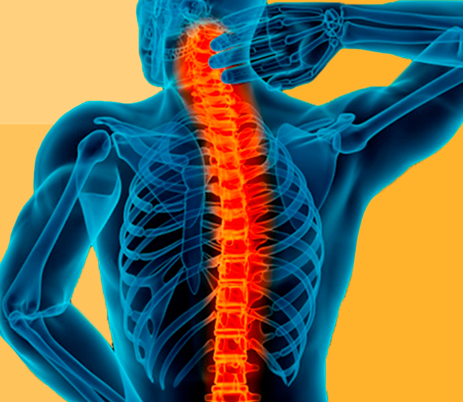 Curso de Avaliação e Tratamento das Lesões da Coluna - Grupo FisioW...