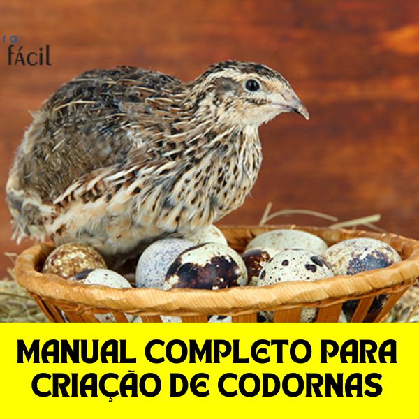 Manual Completo para Criação de Codornas - Ricardo Abrão Pereira