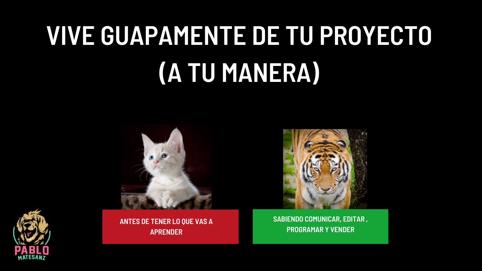 VIVE GUAPAMENTE DE TU PROYECTO ( A TU MANERA) - Pablo Matesanz | Ho...