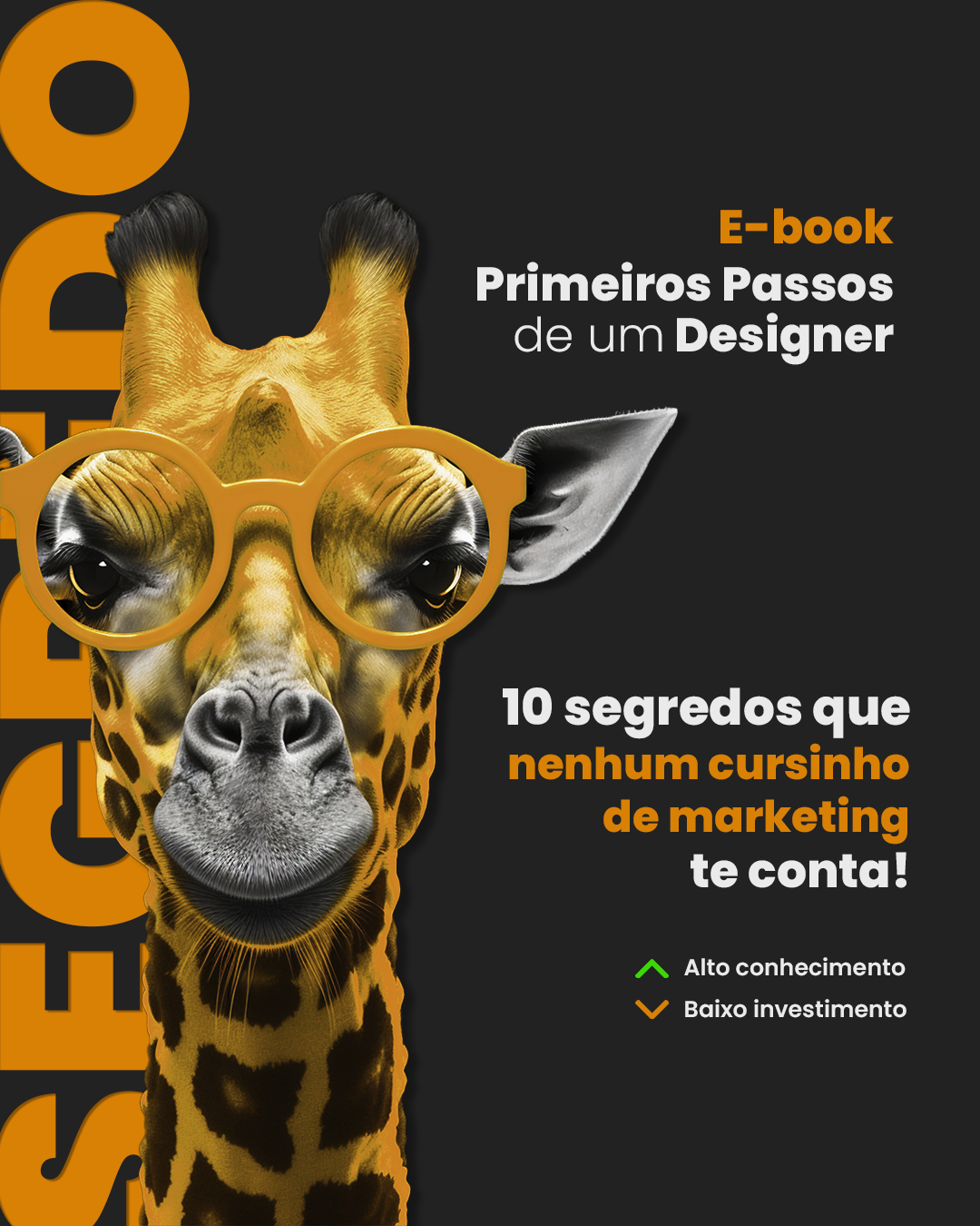 Primeiros Passos de um Designer - Lucas Anibal | Hotmart