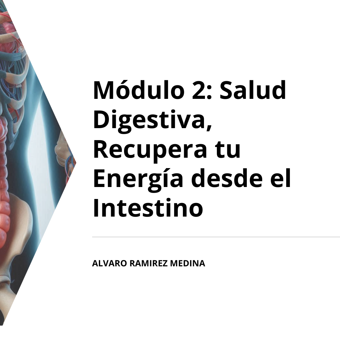 Módulo 2: Salud Digestiva, Recupera tu Energía desde el Intestino ...