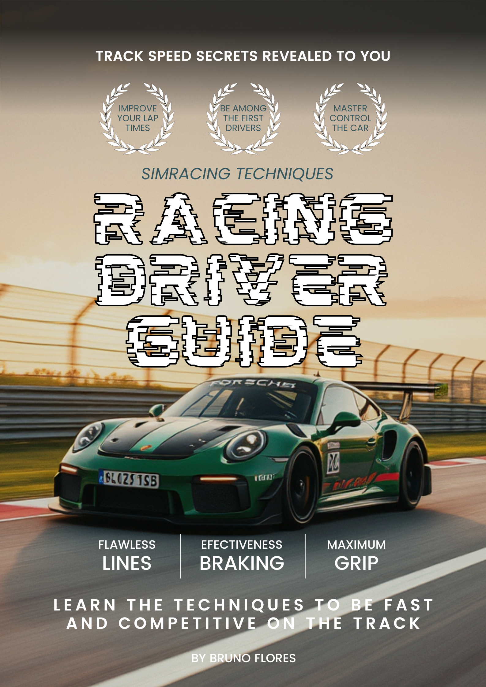 Racing Driver Guide