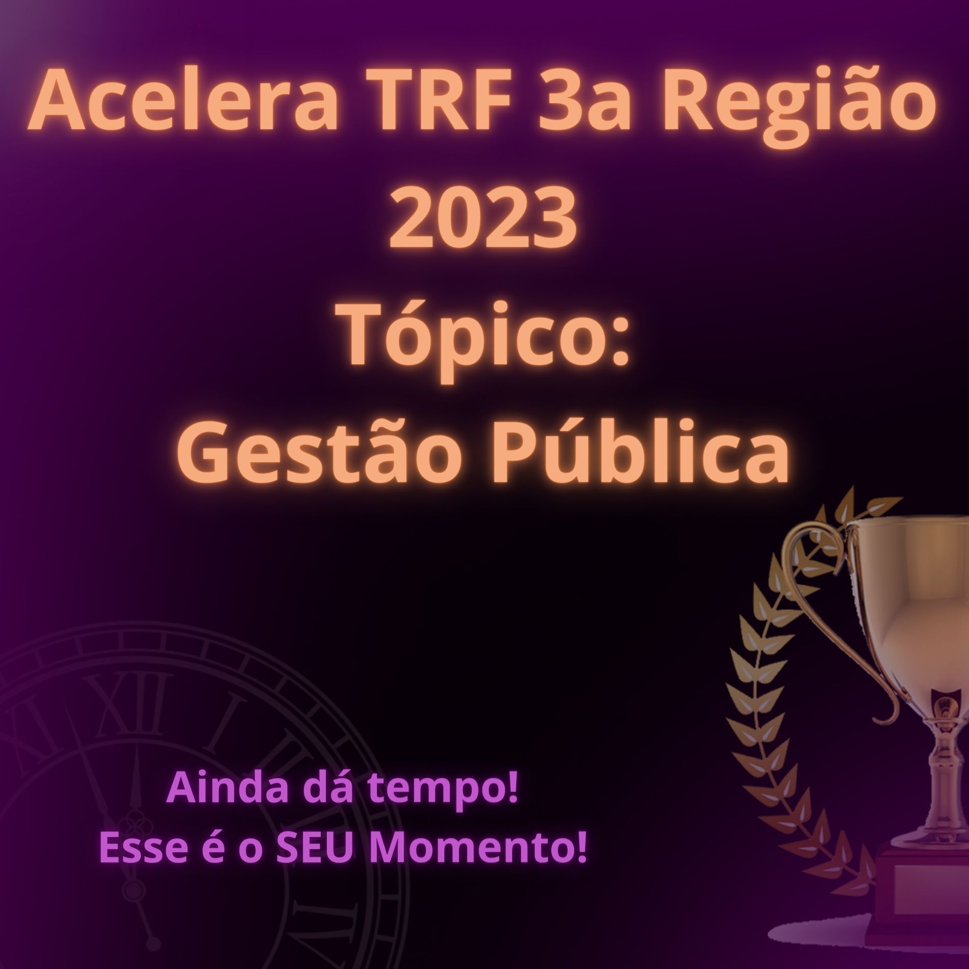 ACELERA TRF 3a Região GESTÃO PÚBLICA