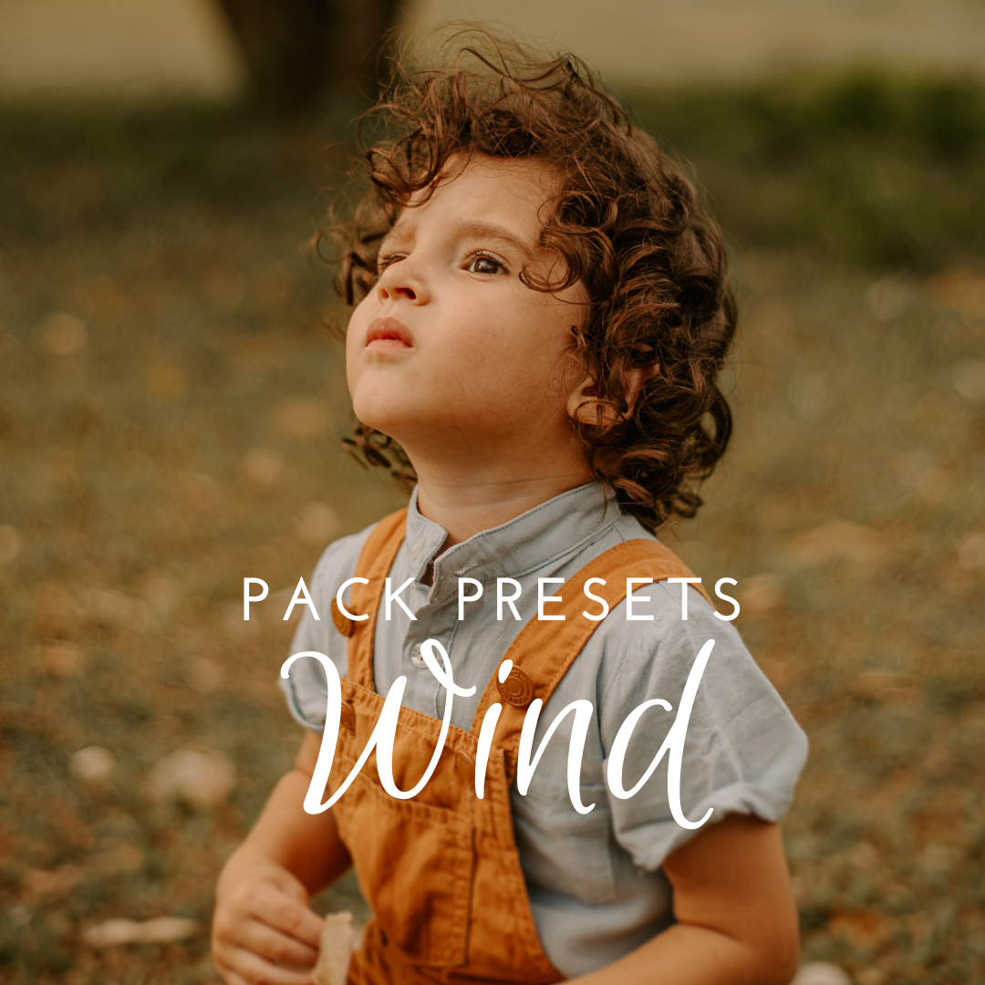 PACK PRESETS WIND - por Thalita Côco