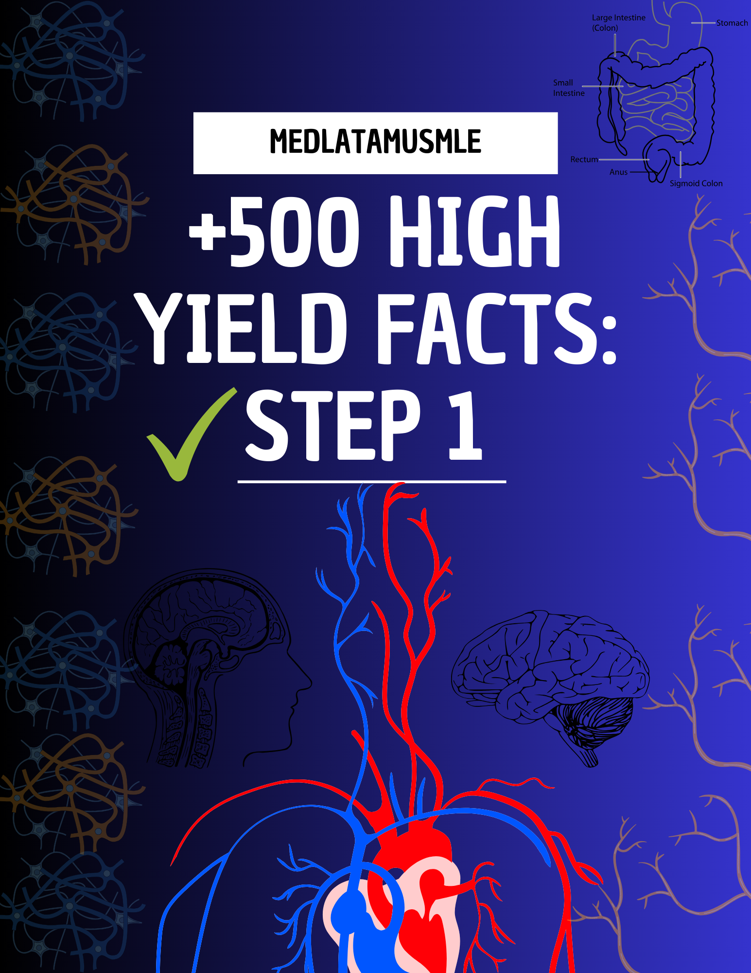 +500 High Yield Facts Step 1 pdf