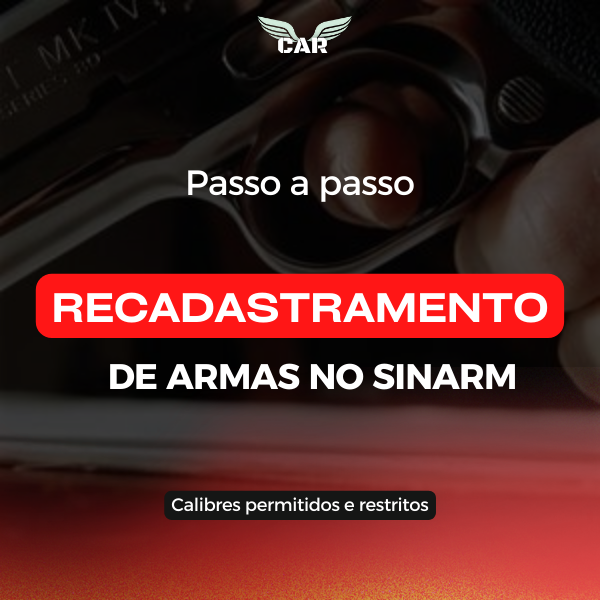 Passo a passo para o recadastramento de armas - SINARM - Tayna Cris...