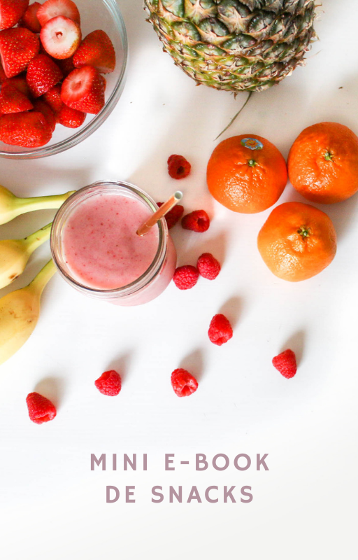 Mini Ebook de Snacks - GABINUTRI
