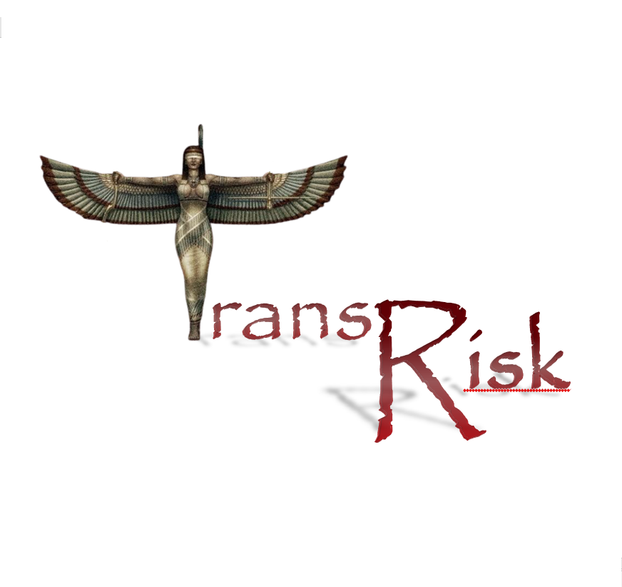 TransRisk - Método Transdisciplinar para Gestão de Riscos