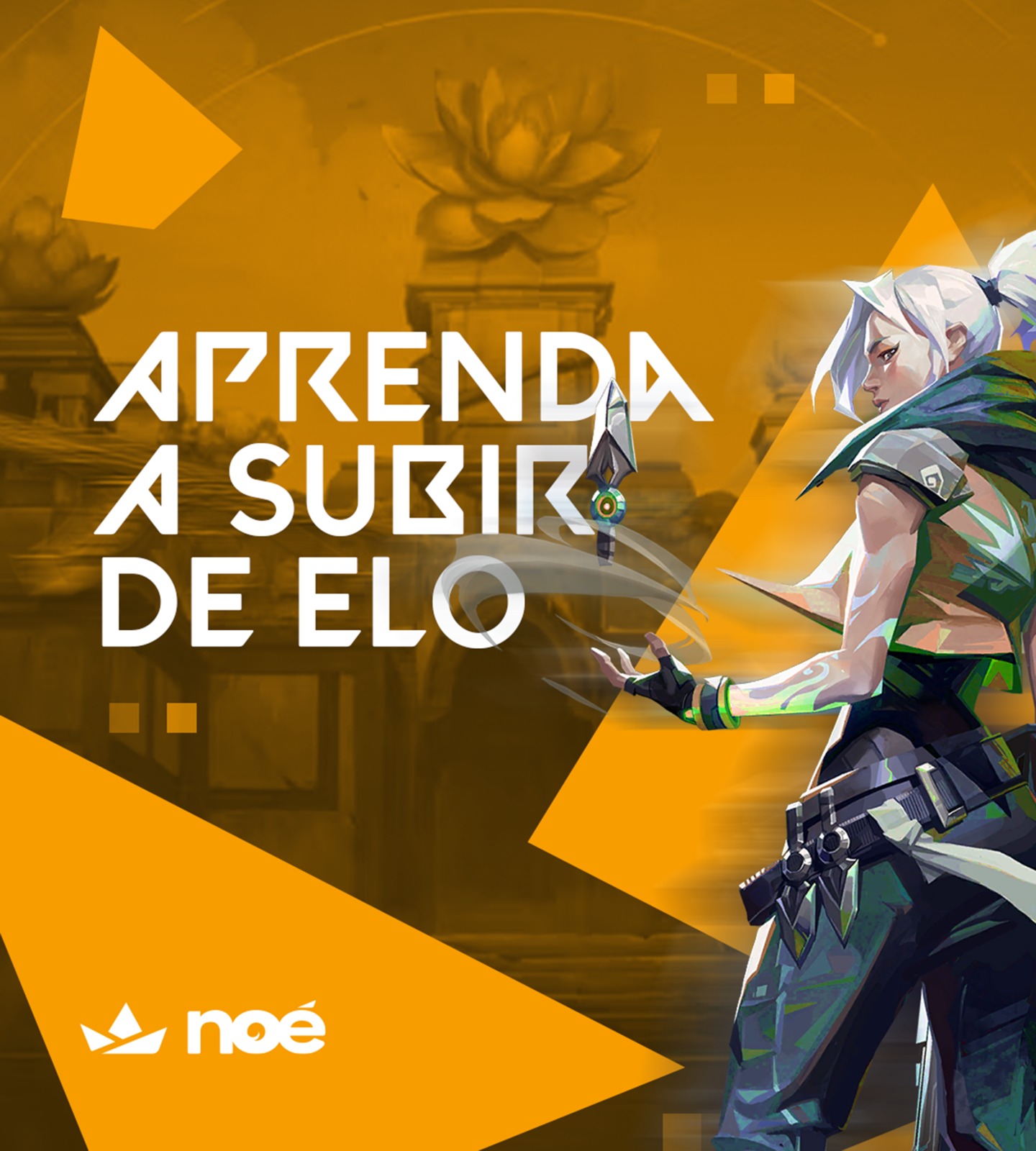 Manual para subir de elo - Deluxe | Hotmart