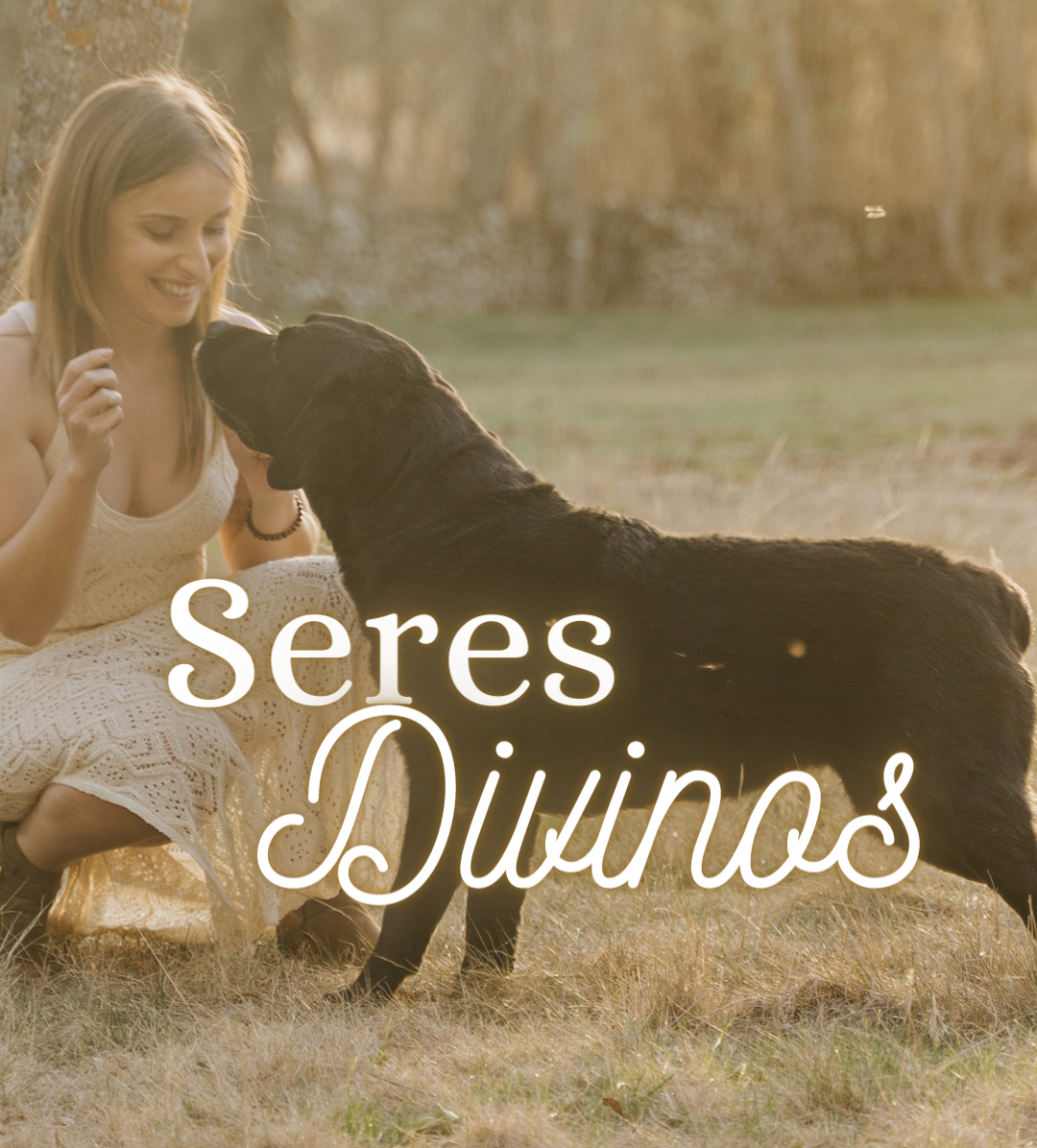 Seres Divinos - Cátia Filipa Martins Quitério | Hotmart