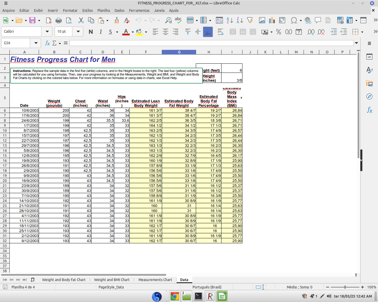 Fitness Progress Tracking Spreadsheet - RGB hotmart | Hotmart