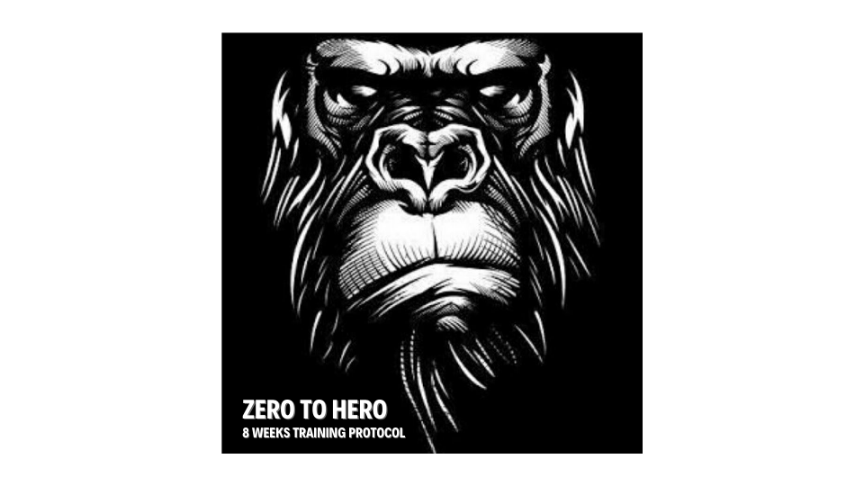 ZERO TO HERO - TRAINING PROTOCOL - Luiz Otavio Menezes de HOnkis