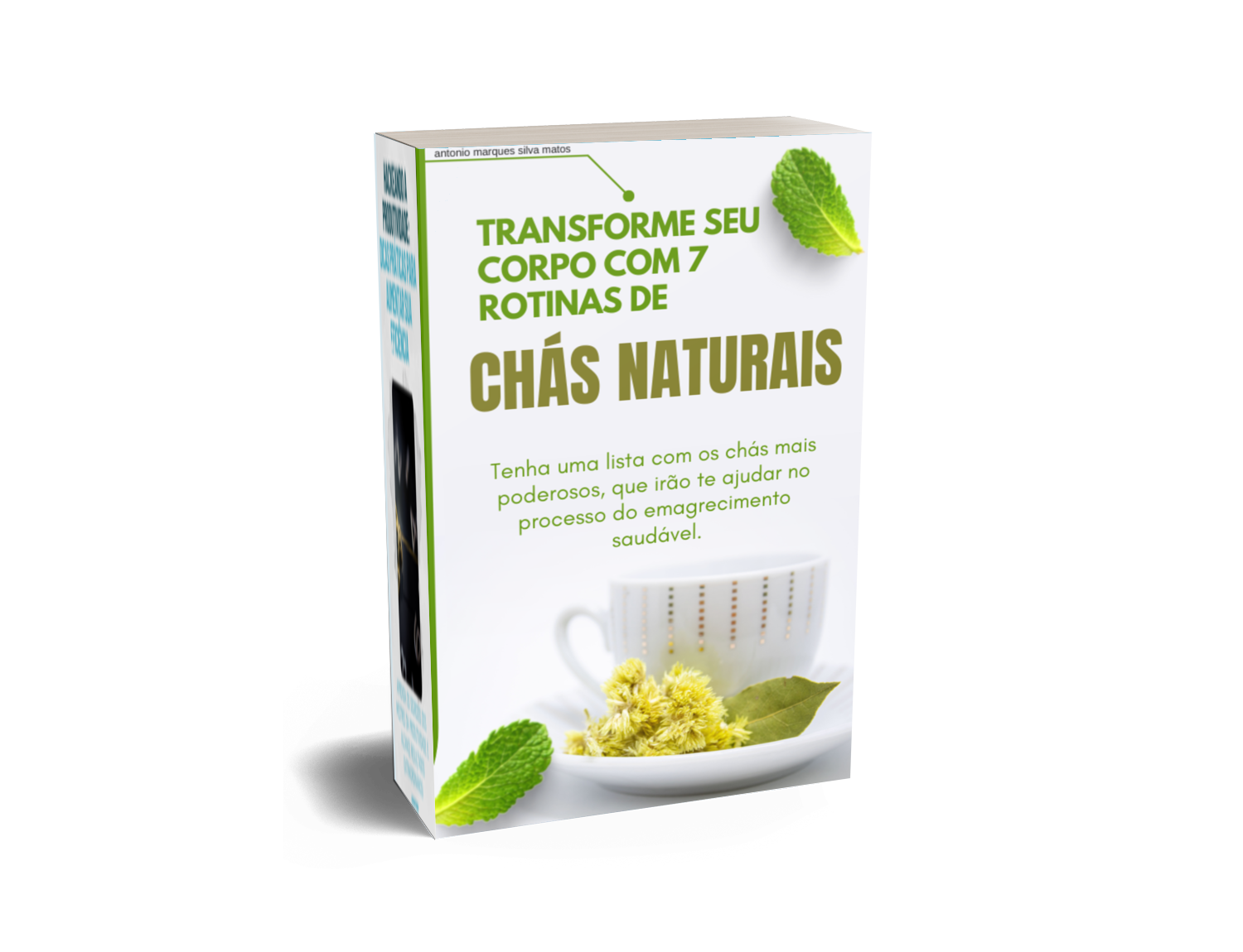 TRANSFORME SEU CORPO COM 7 ROTINAS DE CHÁS NATURAIS - ANTONIO DAY T...