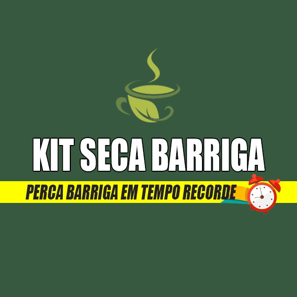 KIT SECA BARRIGA - Everaldo Silva | Hotmart