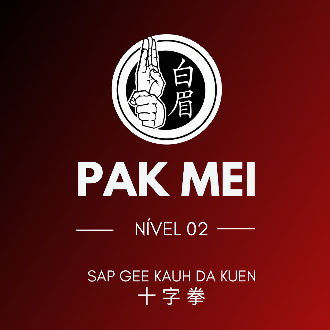 Pak Mei - Sap Gee 十 字 拳 - Matheus Antonio Visoto | Hotmart