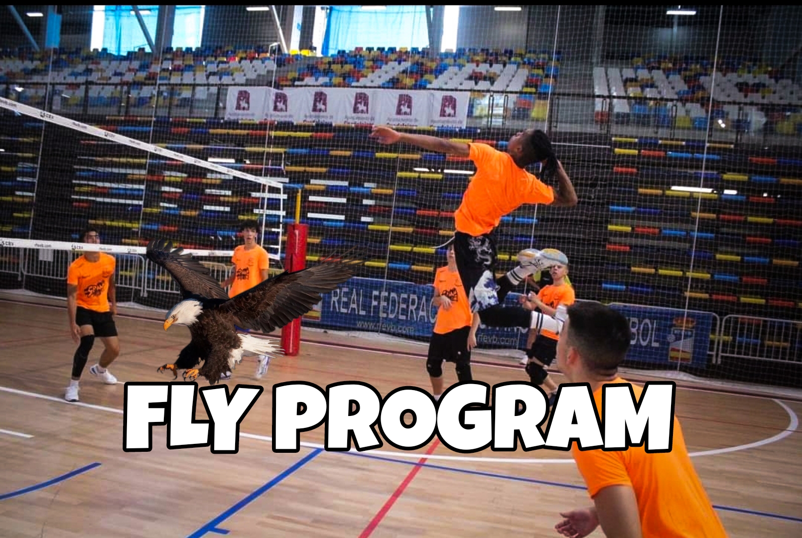 FLY PROGRAM - Alejandro Pérez Bouza | Hotmart