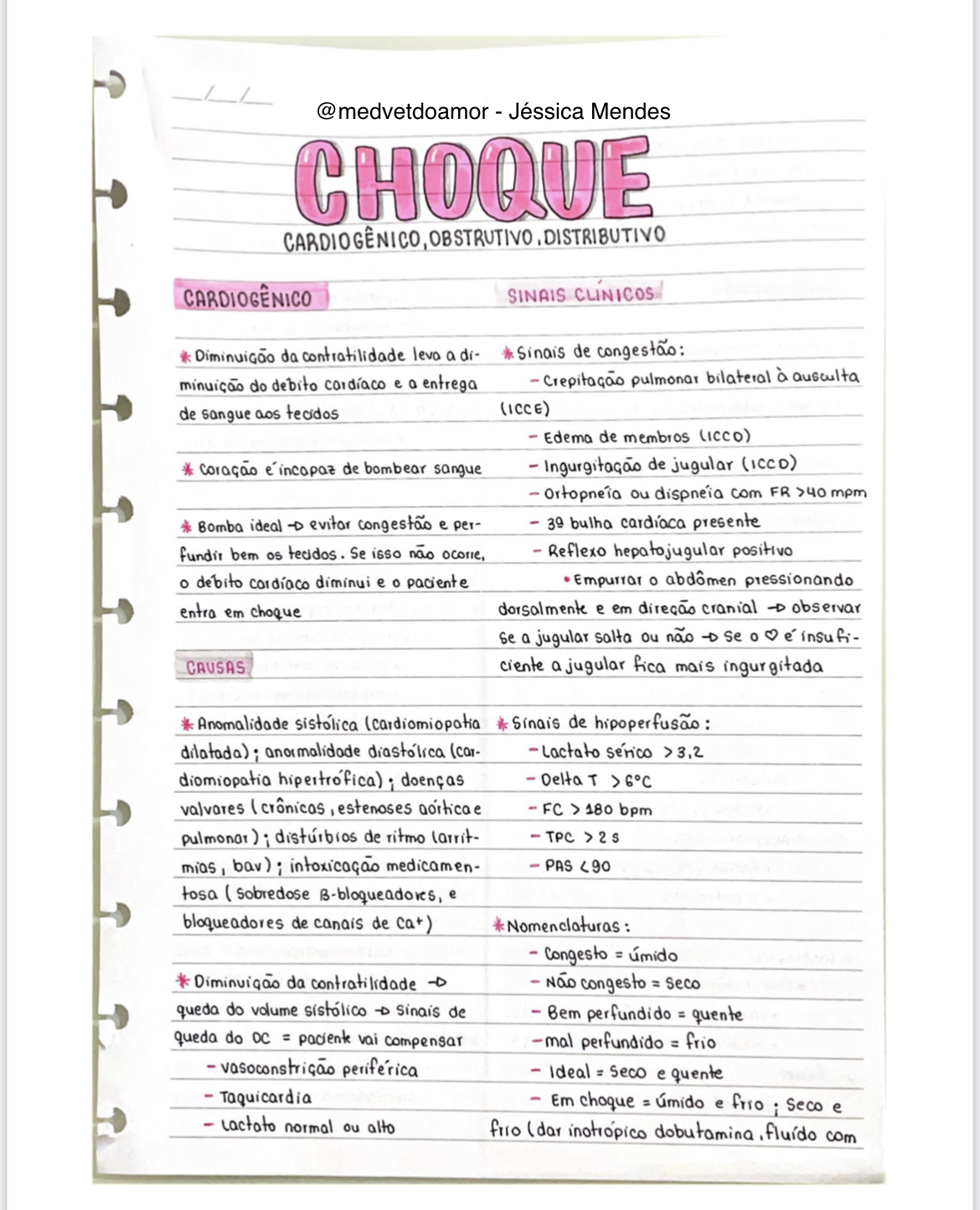 Resumos Medicina Veterinária - @medvetdoamor | Hotmart