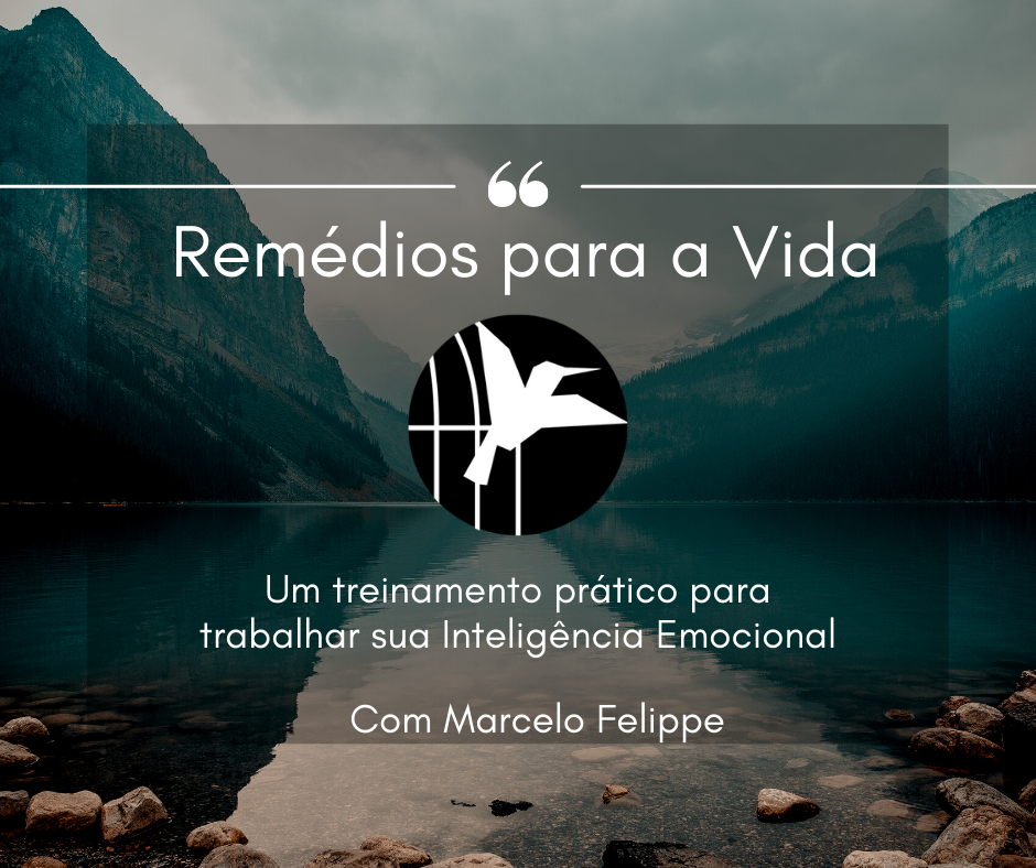 Transformando Pessoas - Remédios para a Vida