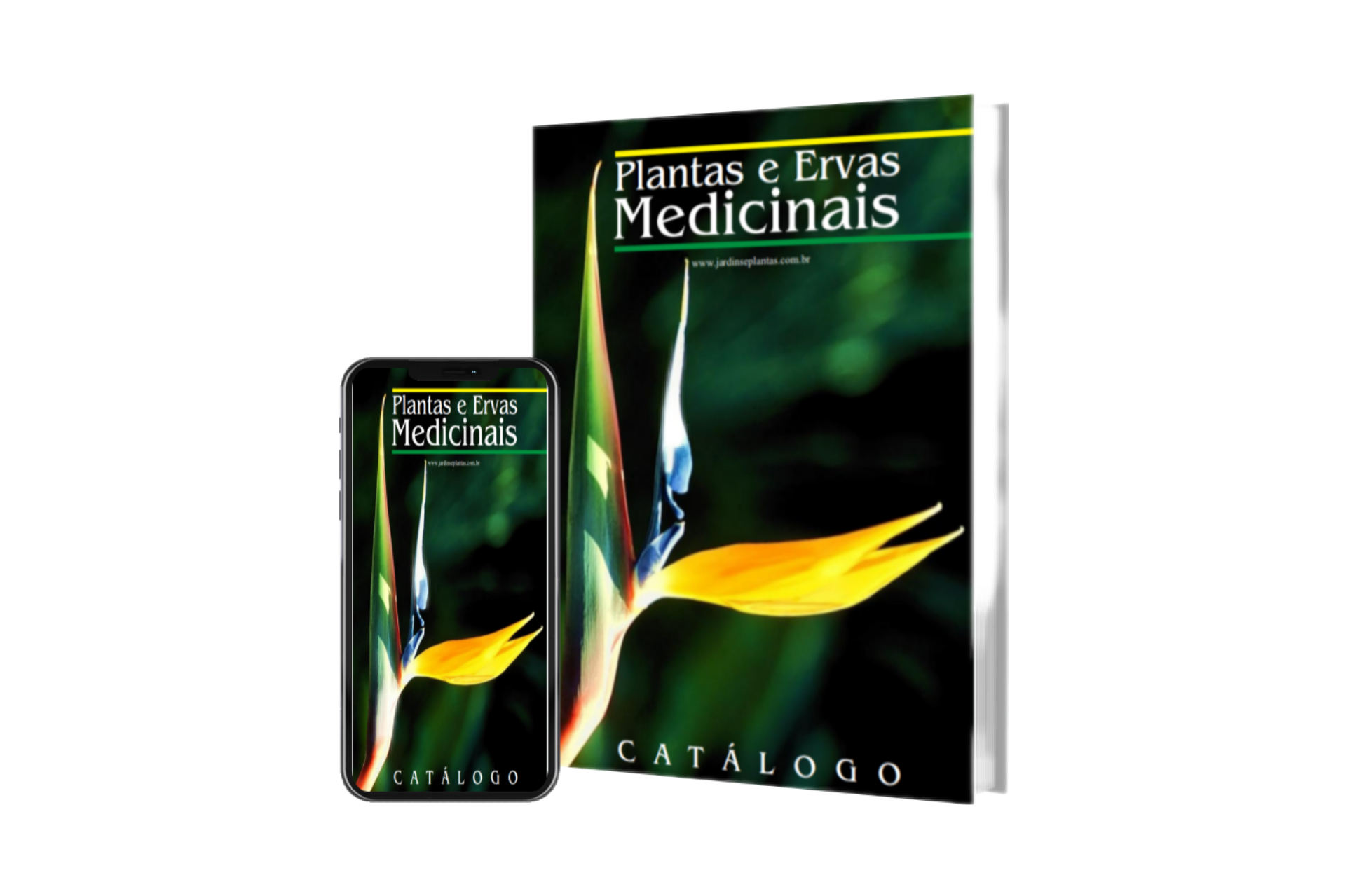E book Completo Plantas E Ervas Medicinais E book Completo Plantas E Ervas Medicinais