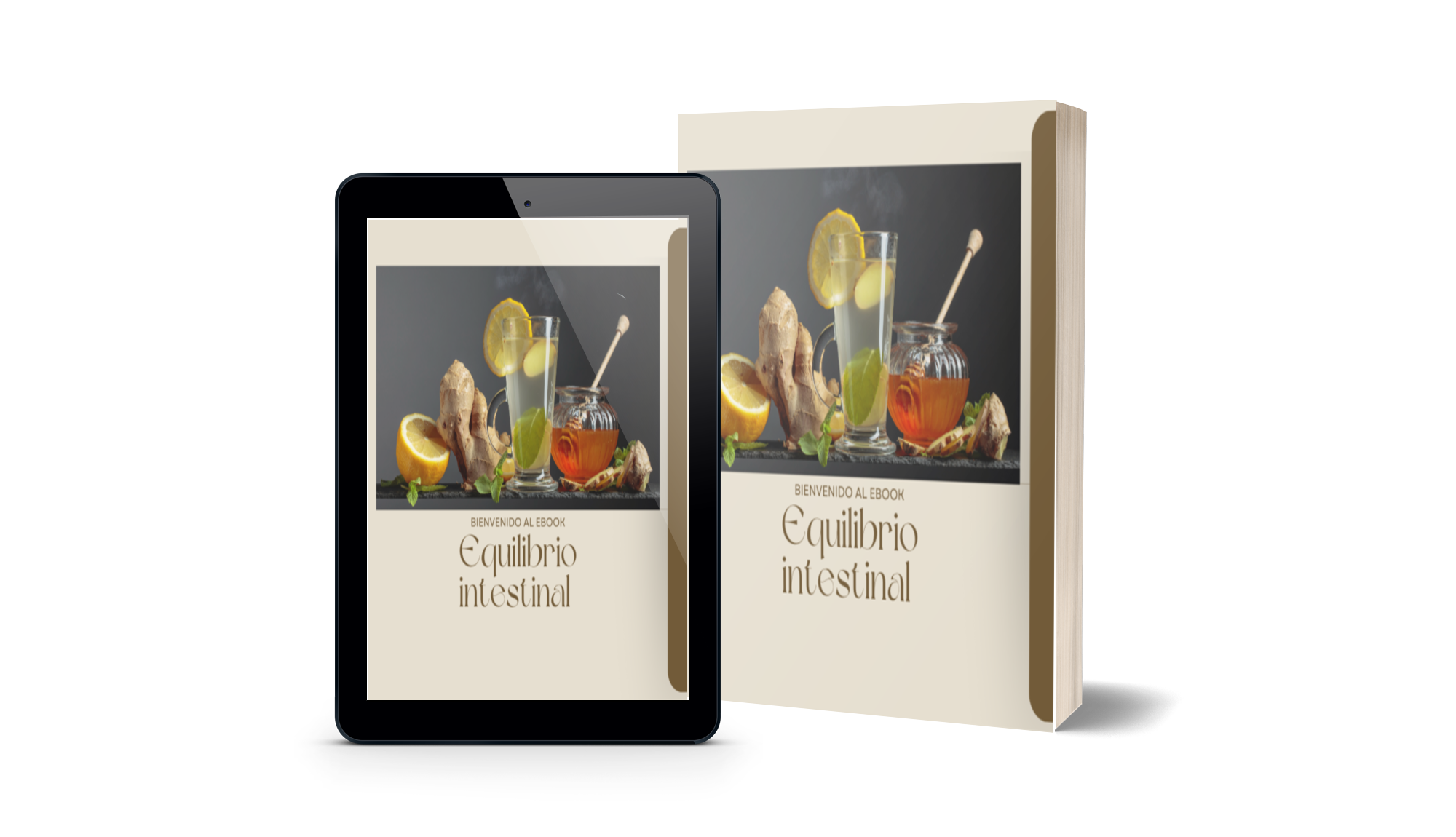 intestino saludable - Aluap | Hotmart