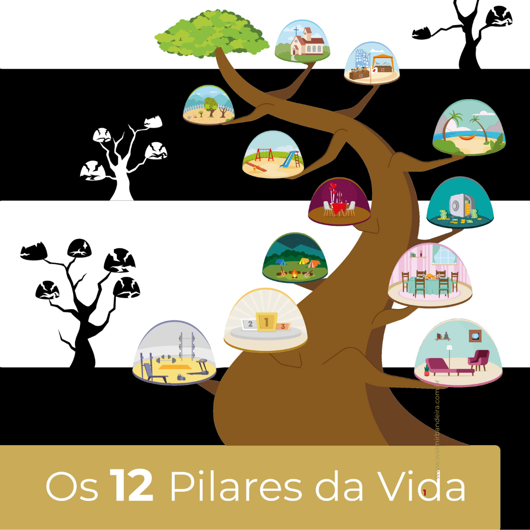 Os 12 Pilares da Vida - Walmir Bandeira | Hotmart