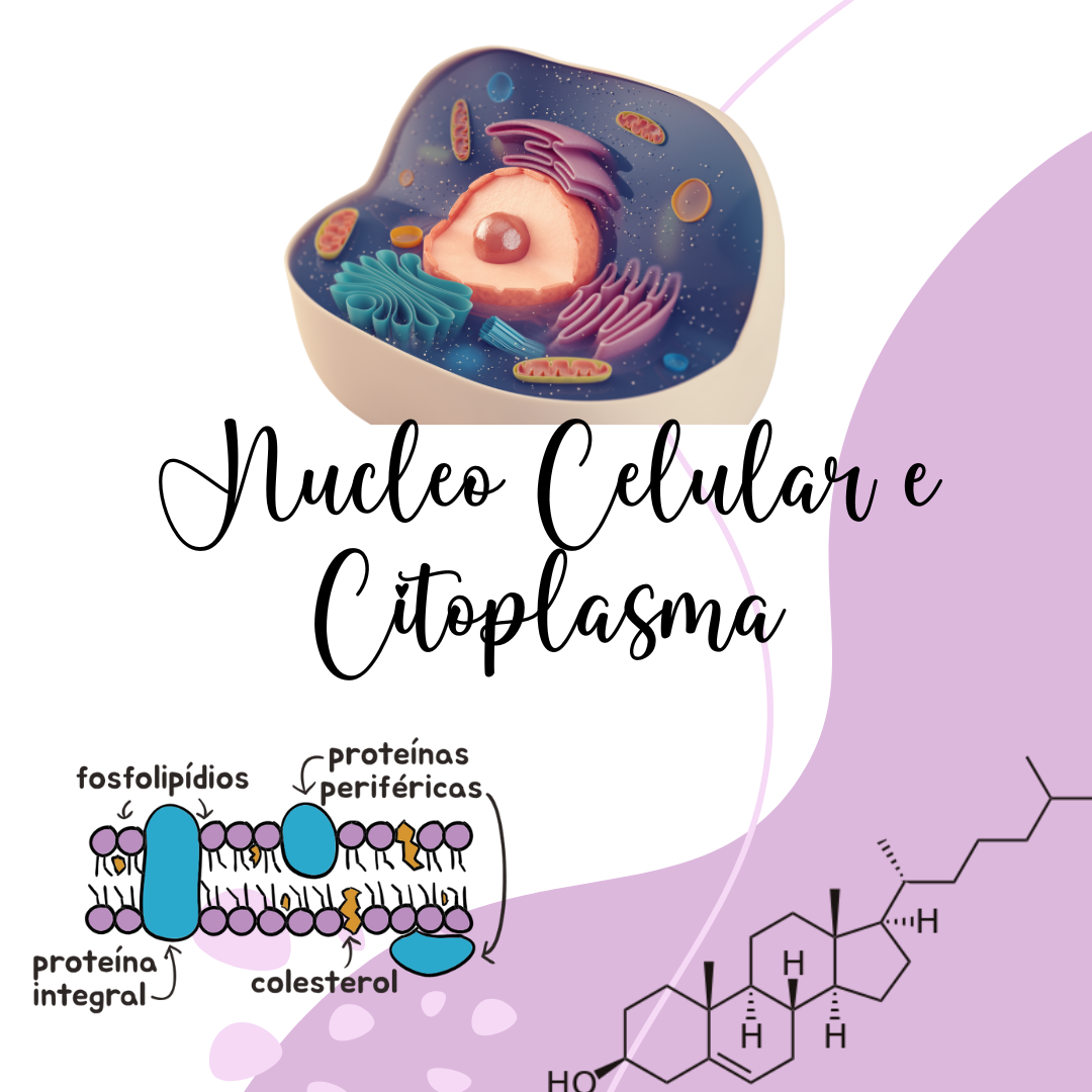 NÚCLEO CELULAR E CITOPLASMA - Caroline Radaelli Jacobsen | Hotmart