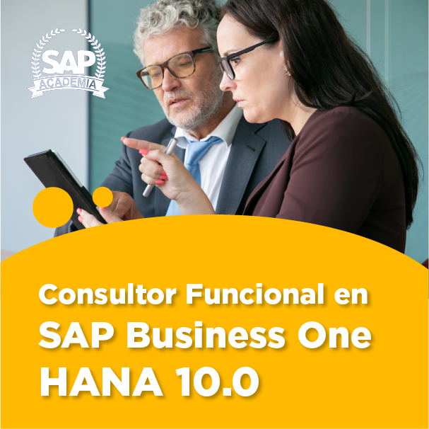 Consultor Funcional en SAP Buisness One HANA 10.0 - Sandro | Hotmart