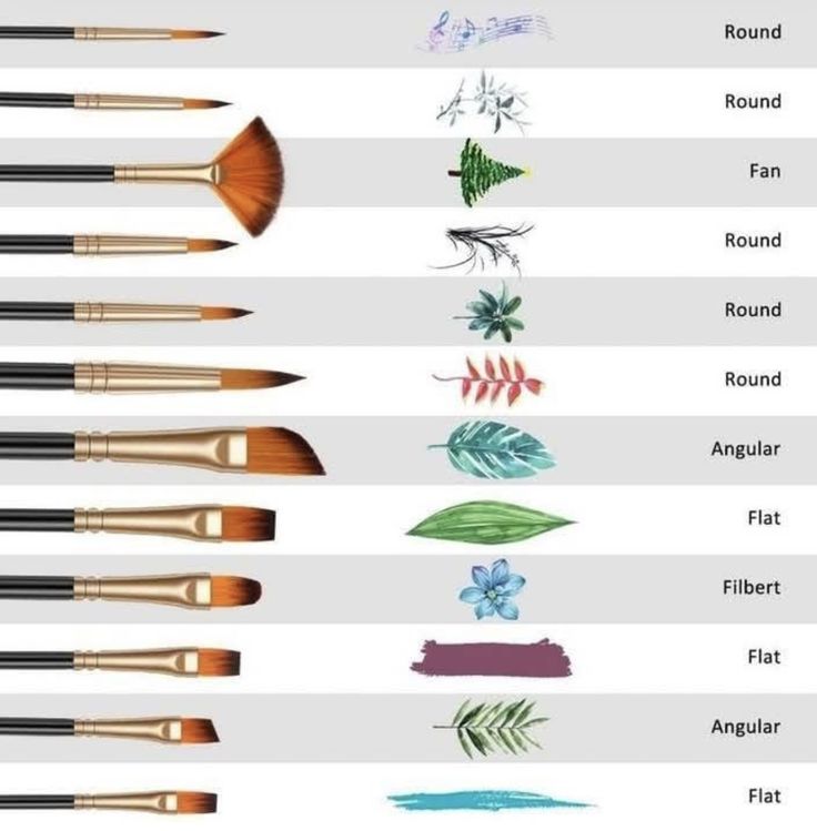 Brush Guide: Types, Shapes, and Their Uses