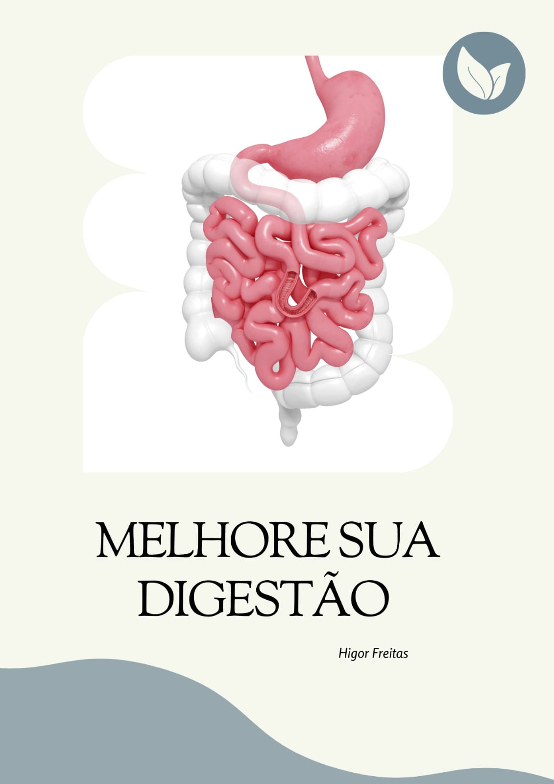 Melhore sua Digestão - José Higor Freitas da | Hotmart