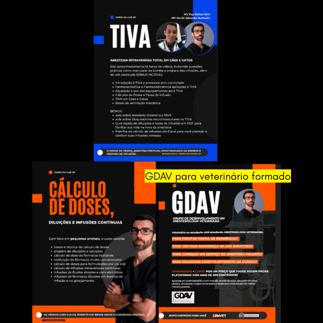 Combo (CCD - acesso por um ano)) + (TIVA - acesso por dois anos ...