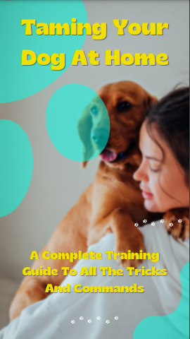 Taming Your Dog At Home: A Complete Training Guide To All The Tricks ...